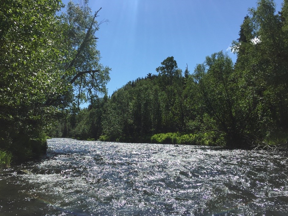 Protecting the Russian River | Defenders of Wildlife