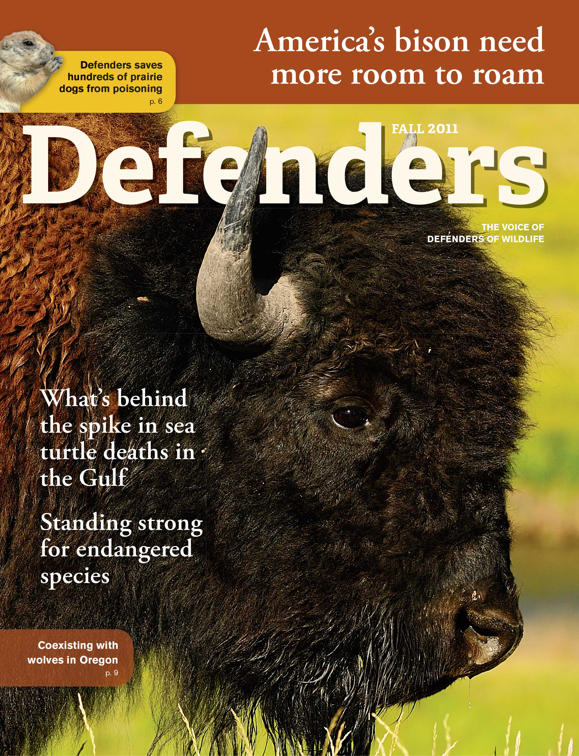 Past Magazine Issues | Defenders of Wildlife
