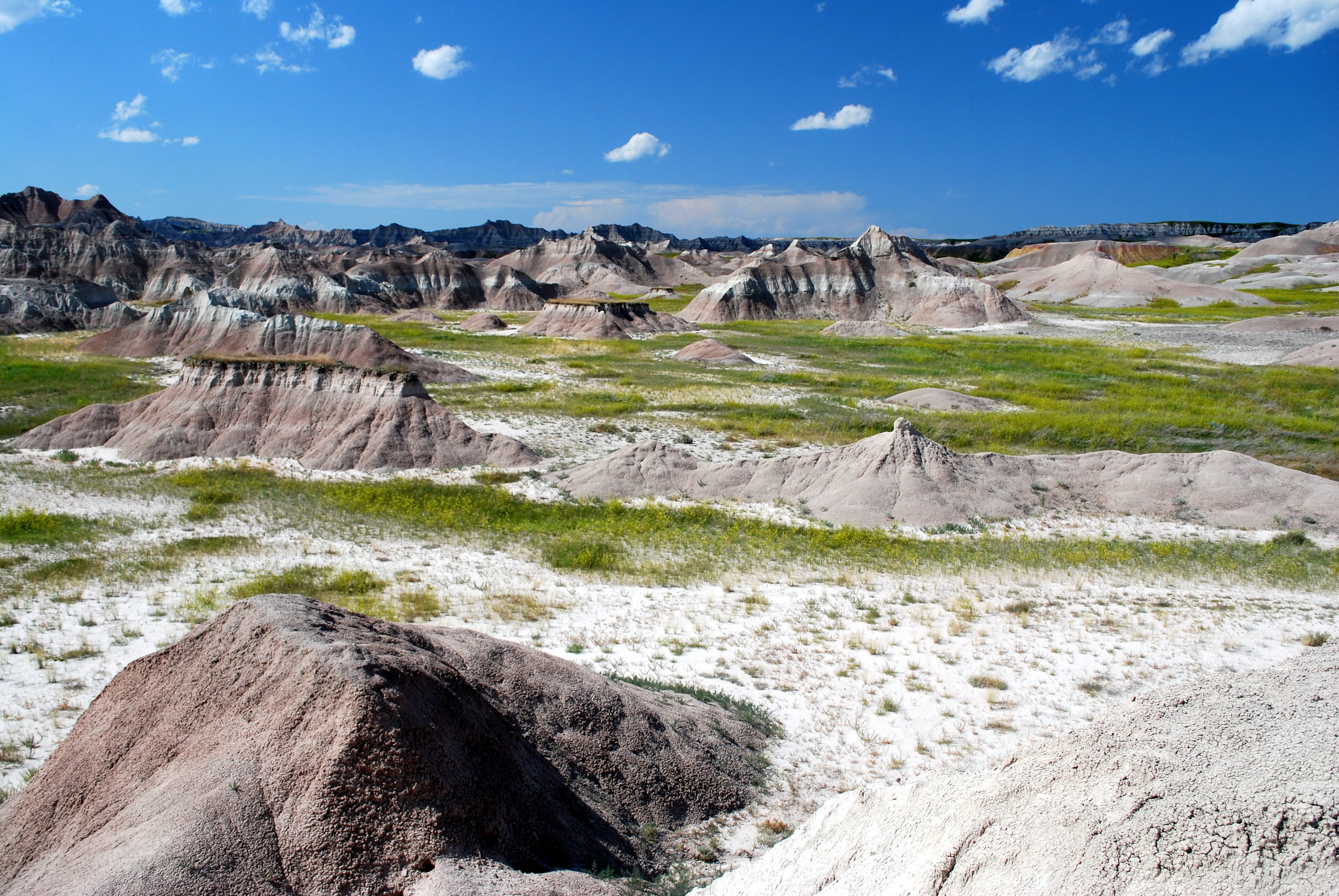 A Black-Footed Ferret Haven: South Dakota’s Conata Basin | Defenders of ...