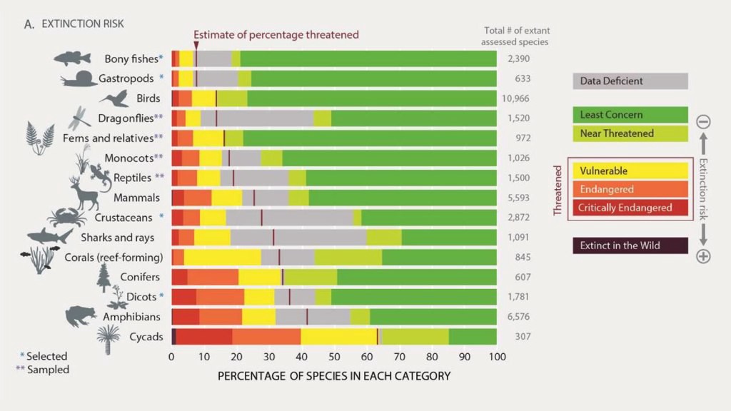 Extinction and Biodiversity Loss are Inextricably Linked | Defenders of ...