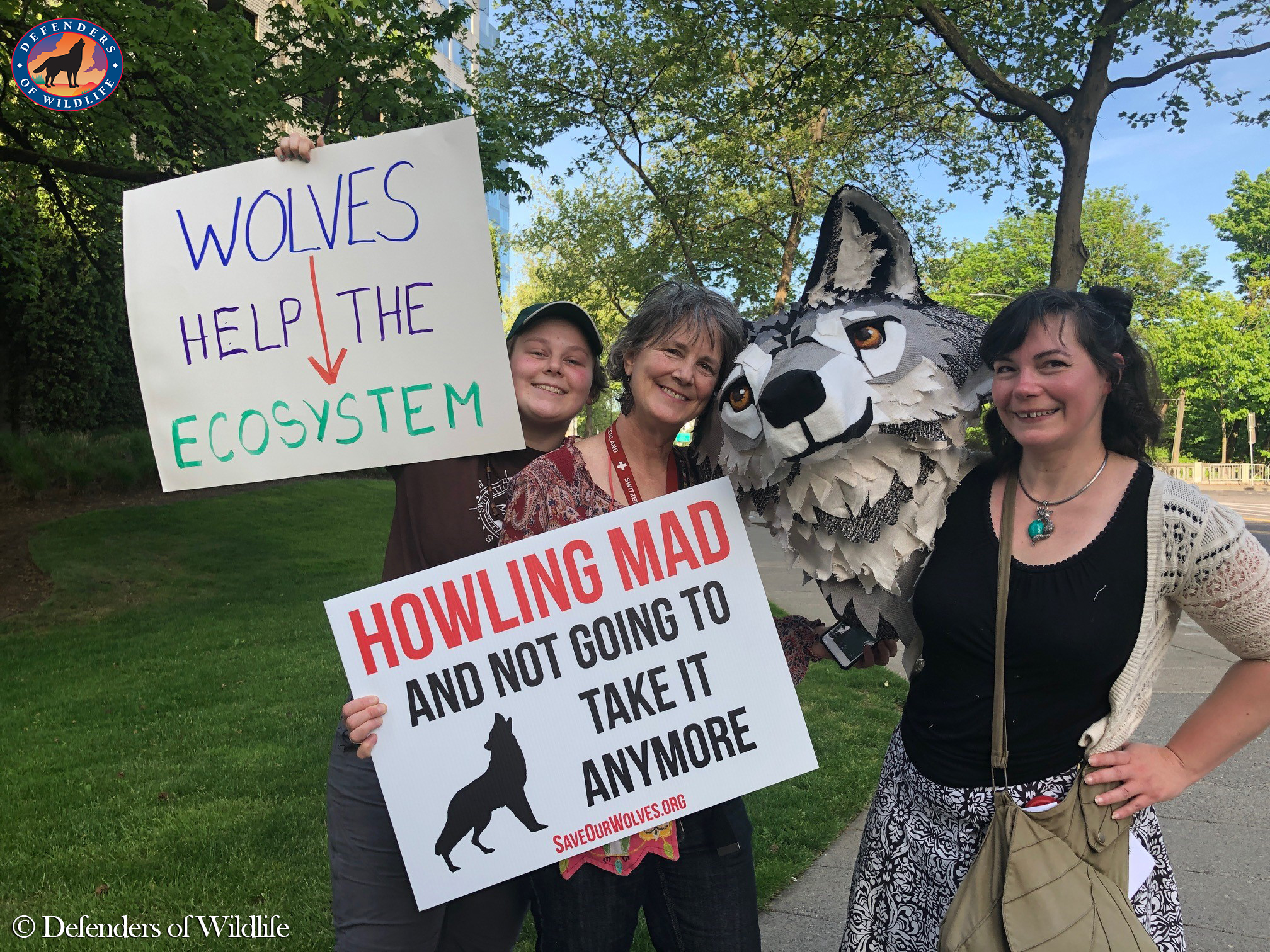 Save Our Wolves | Defenders of Wildlife