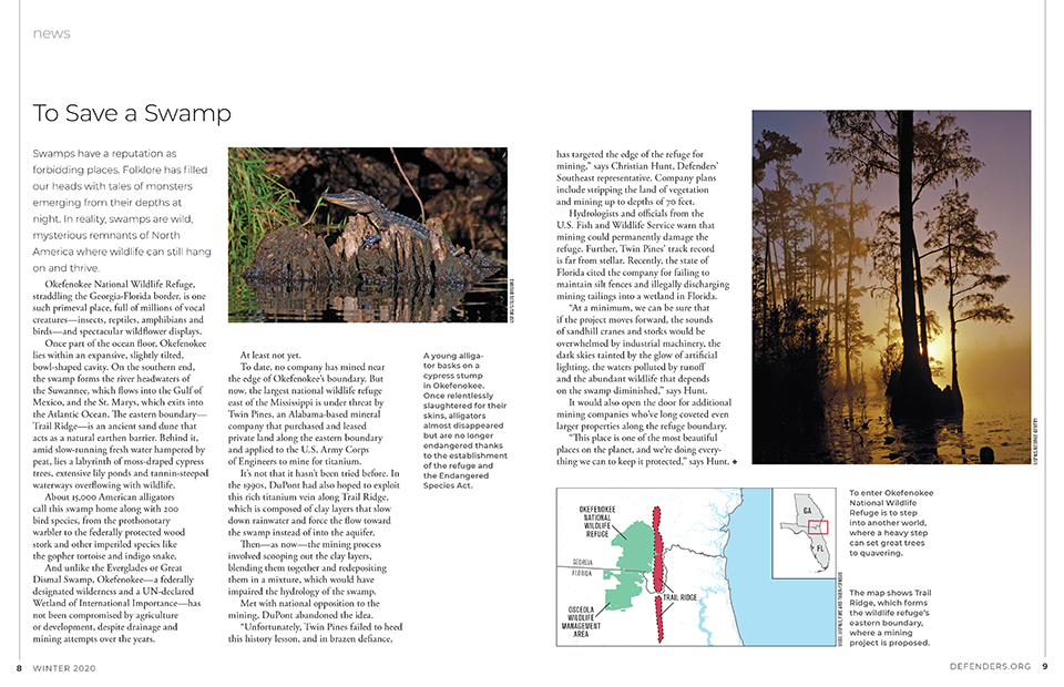 To Save a Swamp | Defenders of Wildlife