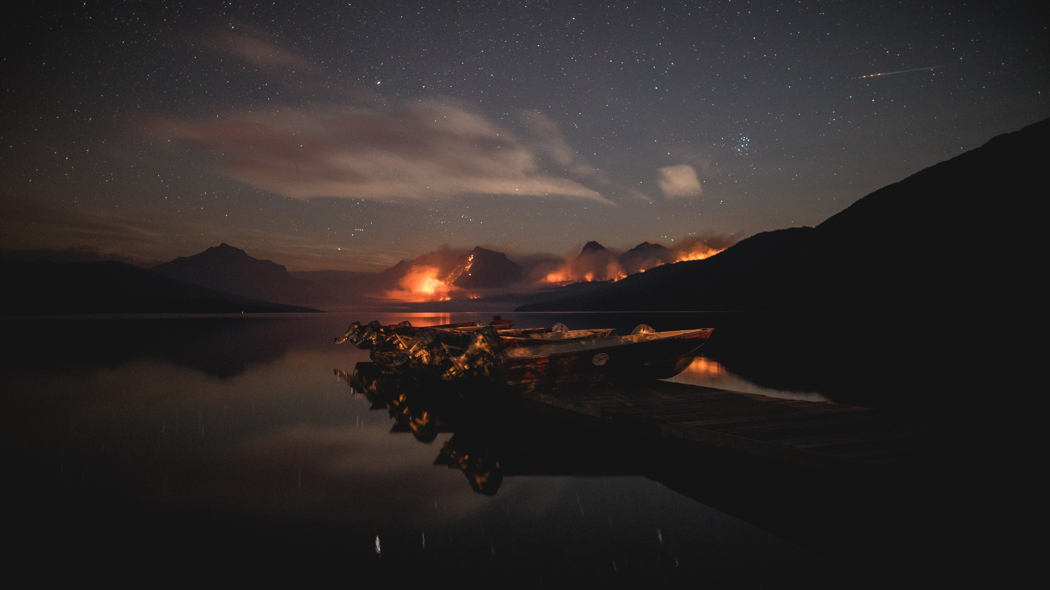 Fire-Adapted: Plants and Animals Rely on Wildfires for Resilient ...