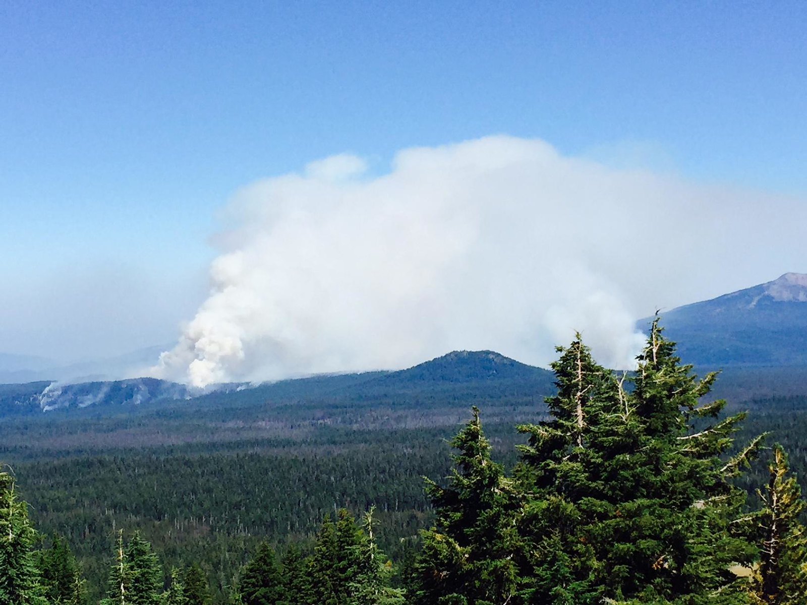 All is Not Lost Yet: Saving Oregon’s Forests from Another Wildfire ...