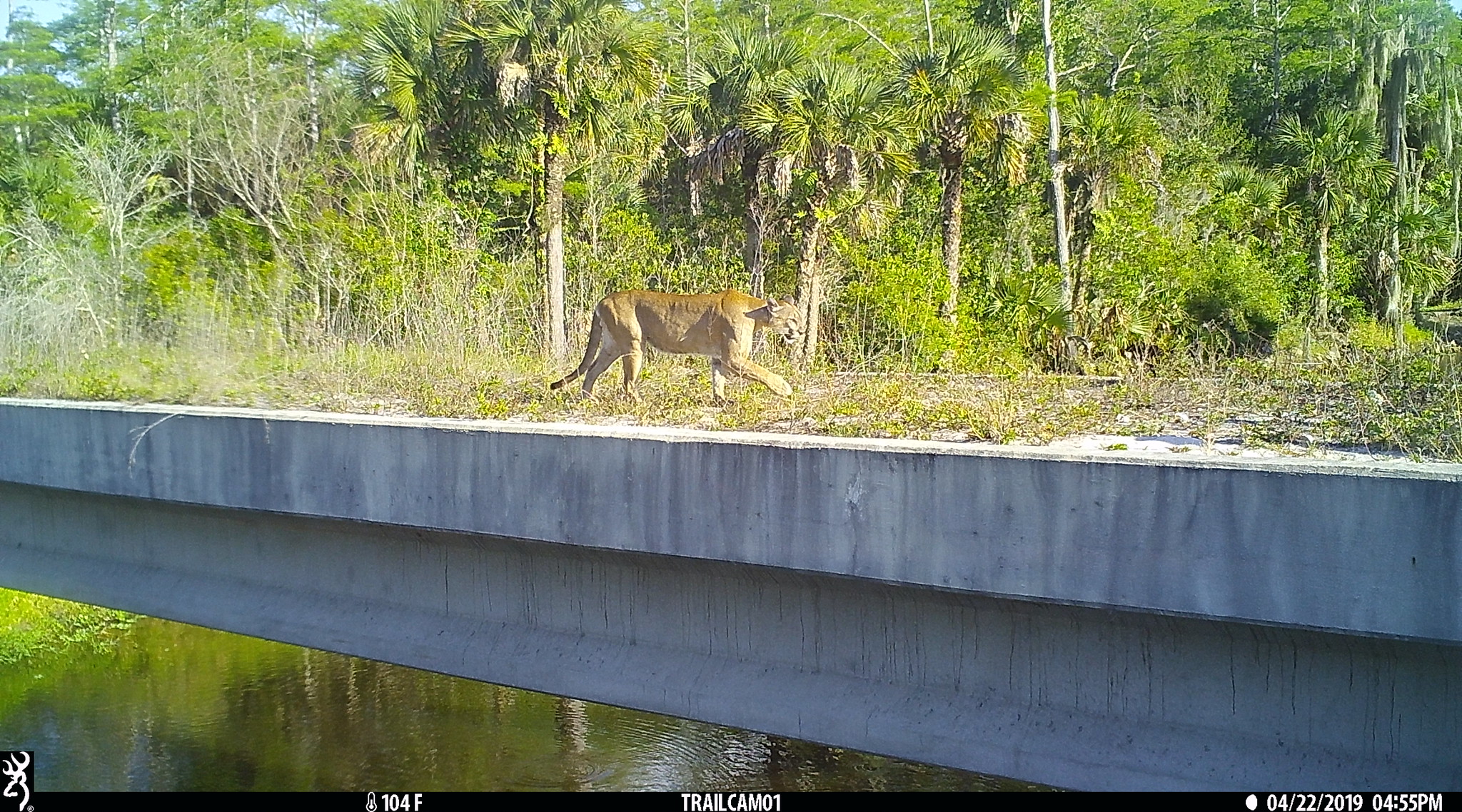 Protecting Wildlife and Creating Jobs Through Infrastructure ...