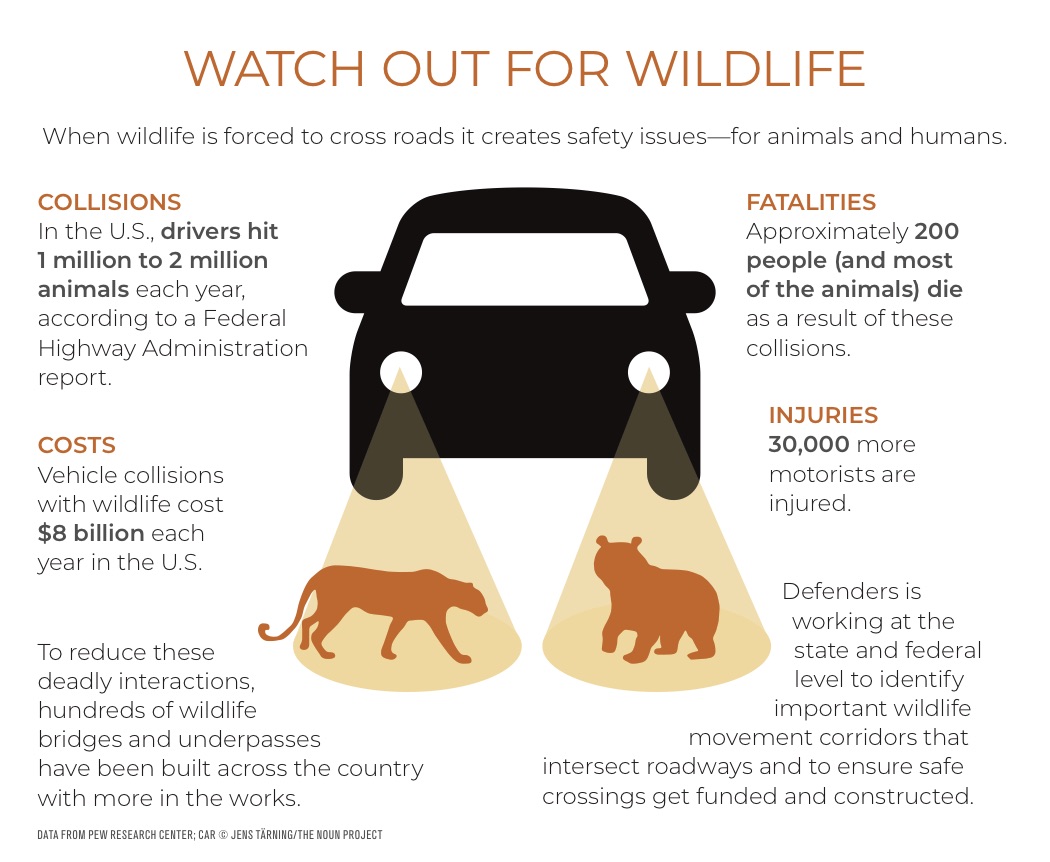 Protecting Habitats for Wildlife and What You Can Do to Help ...