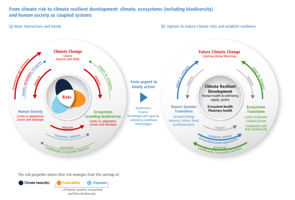 New IPCC Assessment Report Focuses on Extinction and Biodiversity ...