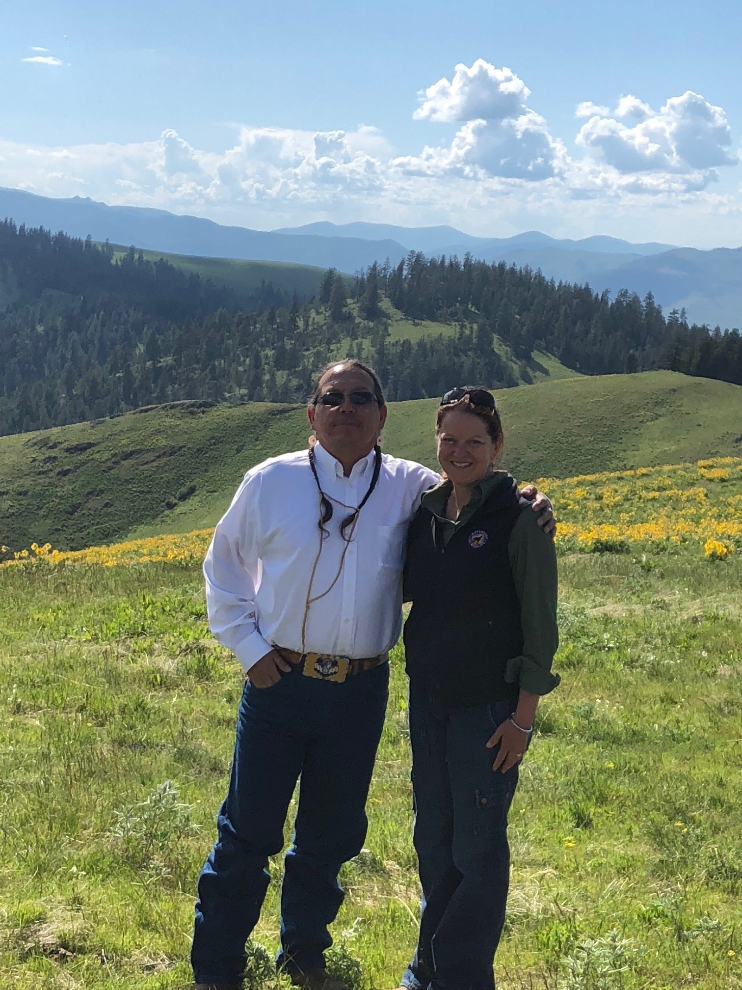 National Bison Day – Celebrating the Restoration Efforts of Our ...
