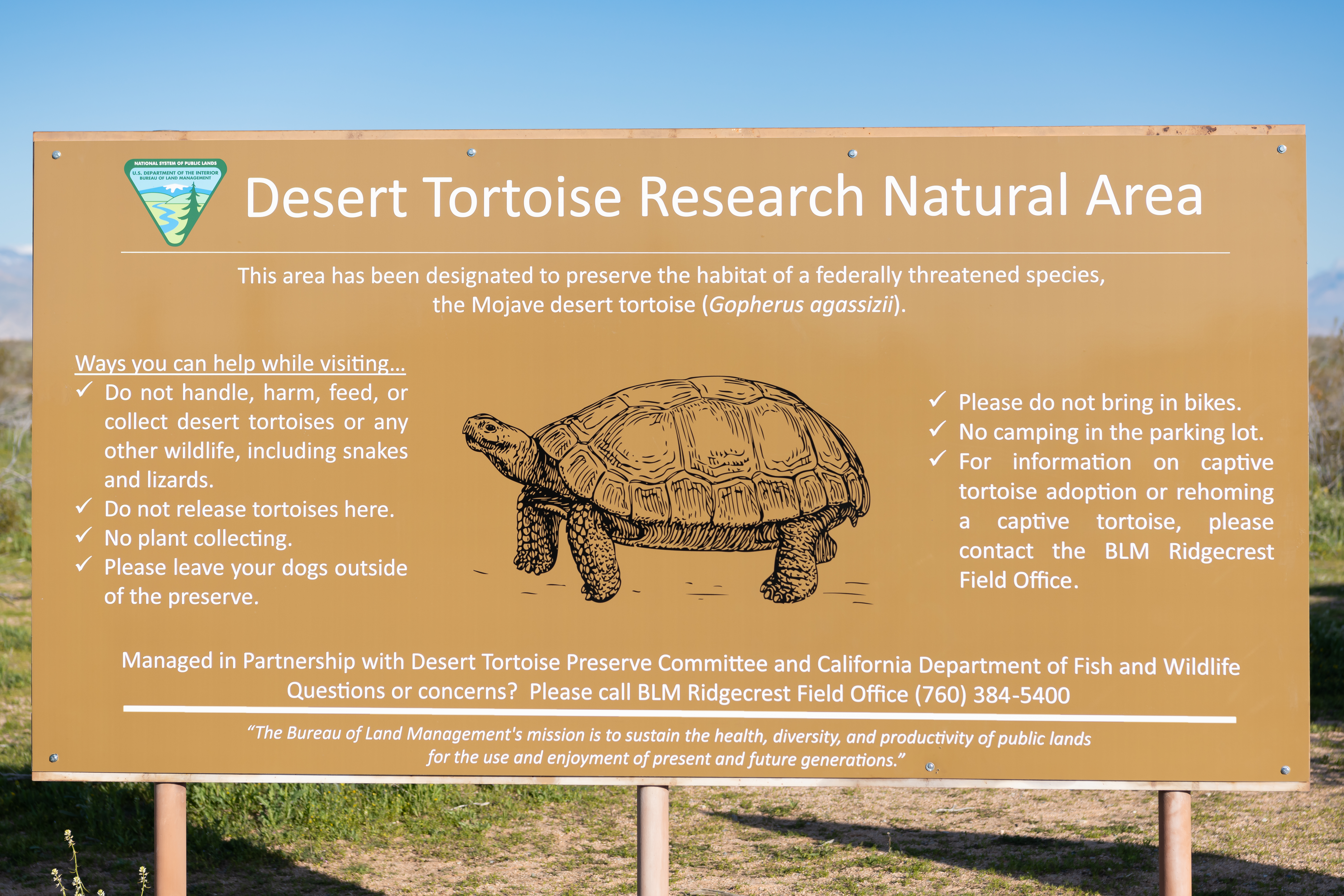 Celebrating 50 Years of the Desert Tortoise Research Natural Area ...