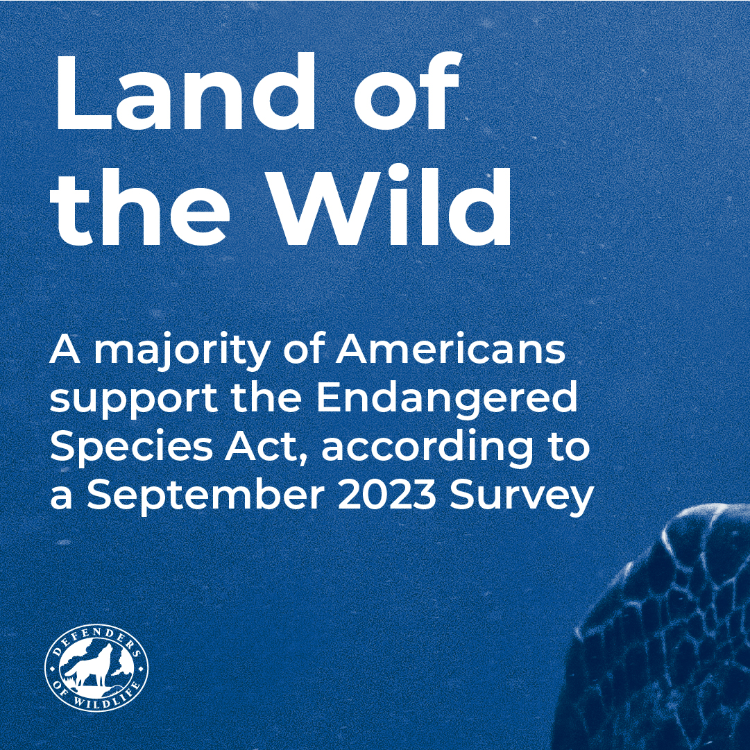 The Endangered Species Act Defenders Of Wildlife