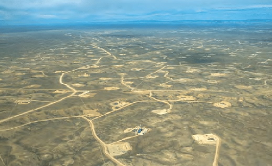 Saving the Sagebrush Sea | Defenders of Wildlife