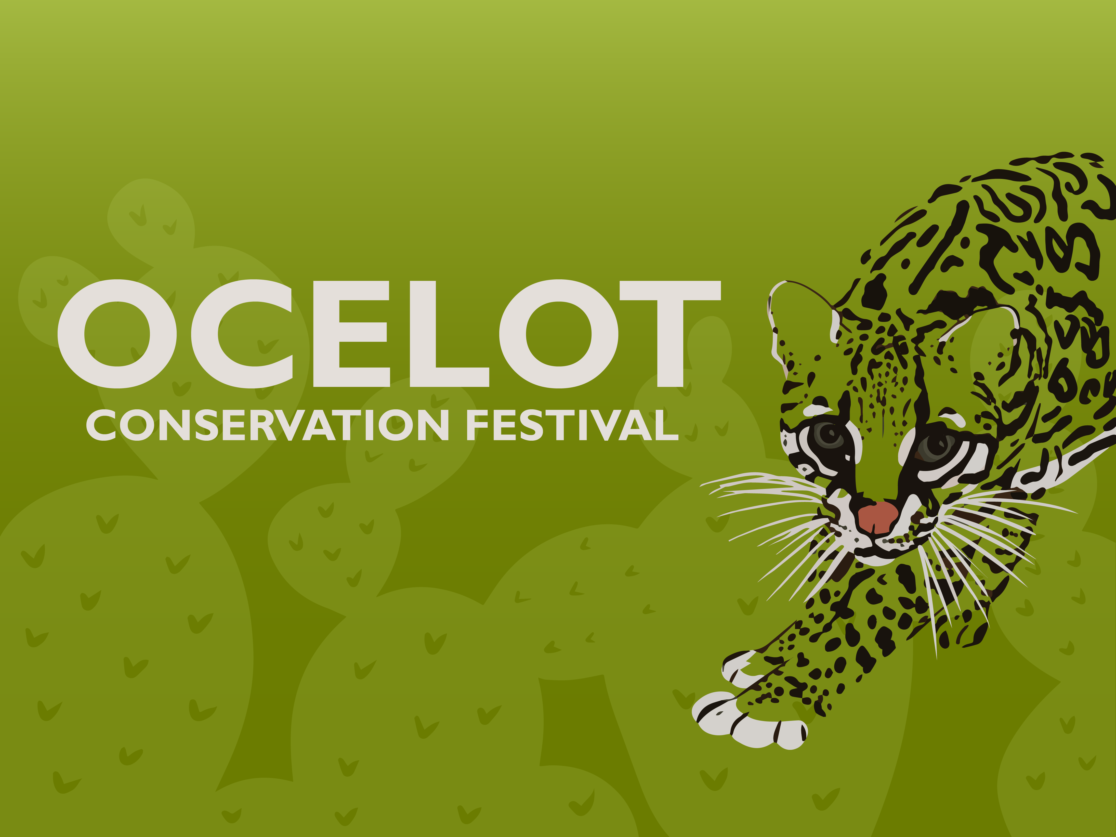 Celebrating Ocelots: Six Ways You Can Help Ocelot Conservation ...