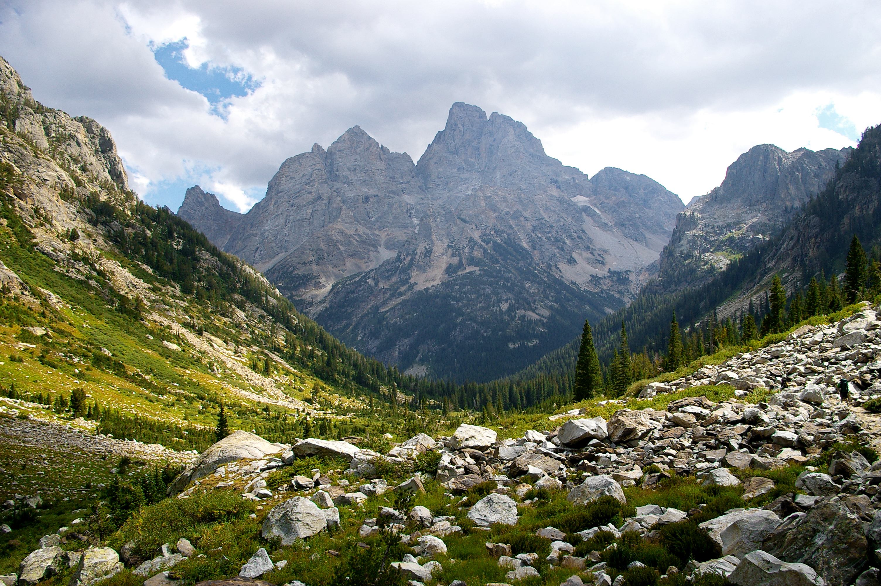 Conserving Wolves, Grizzlies and Orcas in the Northwest | Defenders of ...