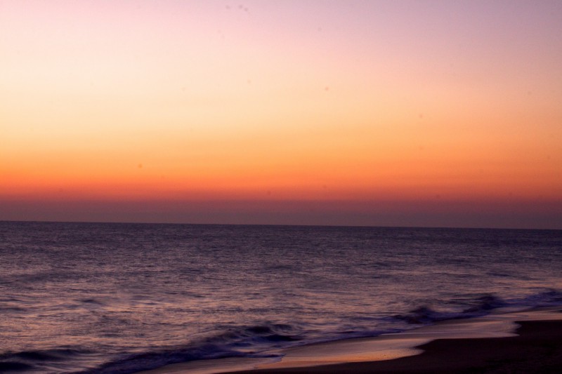 Coastal Residents and Visitors Can Help Sea Turtles Survive | Defenders ...
