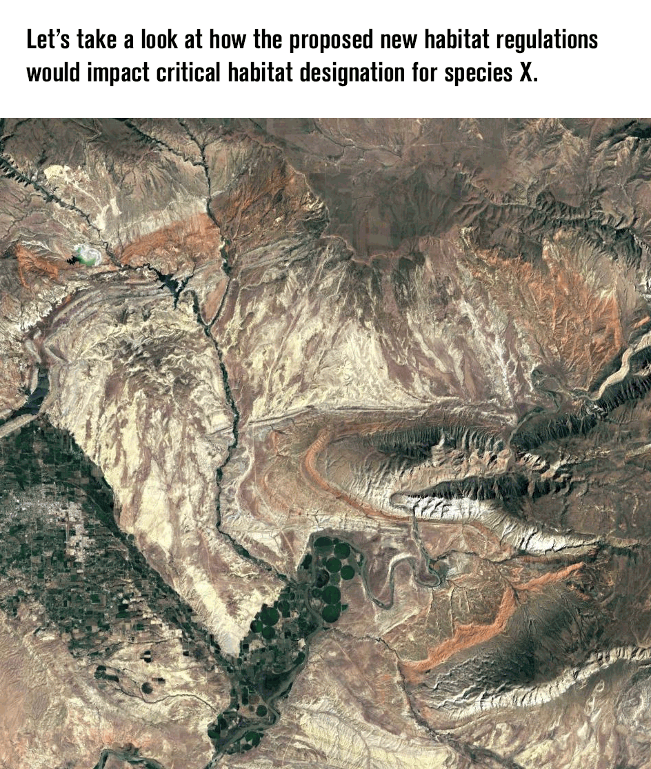 How New Rules Shrink Habitat for Protected Wildlife | Defenders of Wildlife