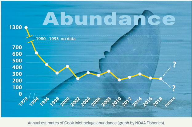 Cook Inlet Beluga Population Estimate Points to Need for More Action ...