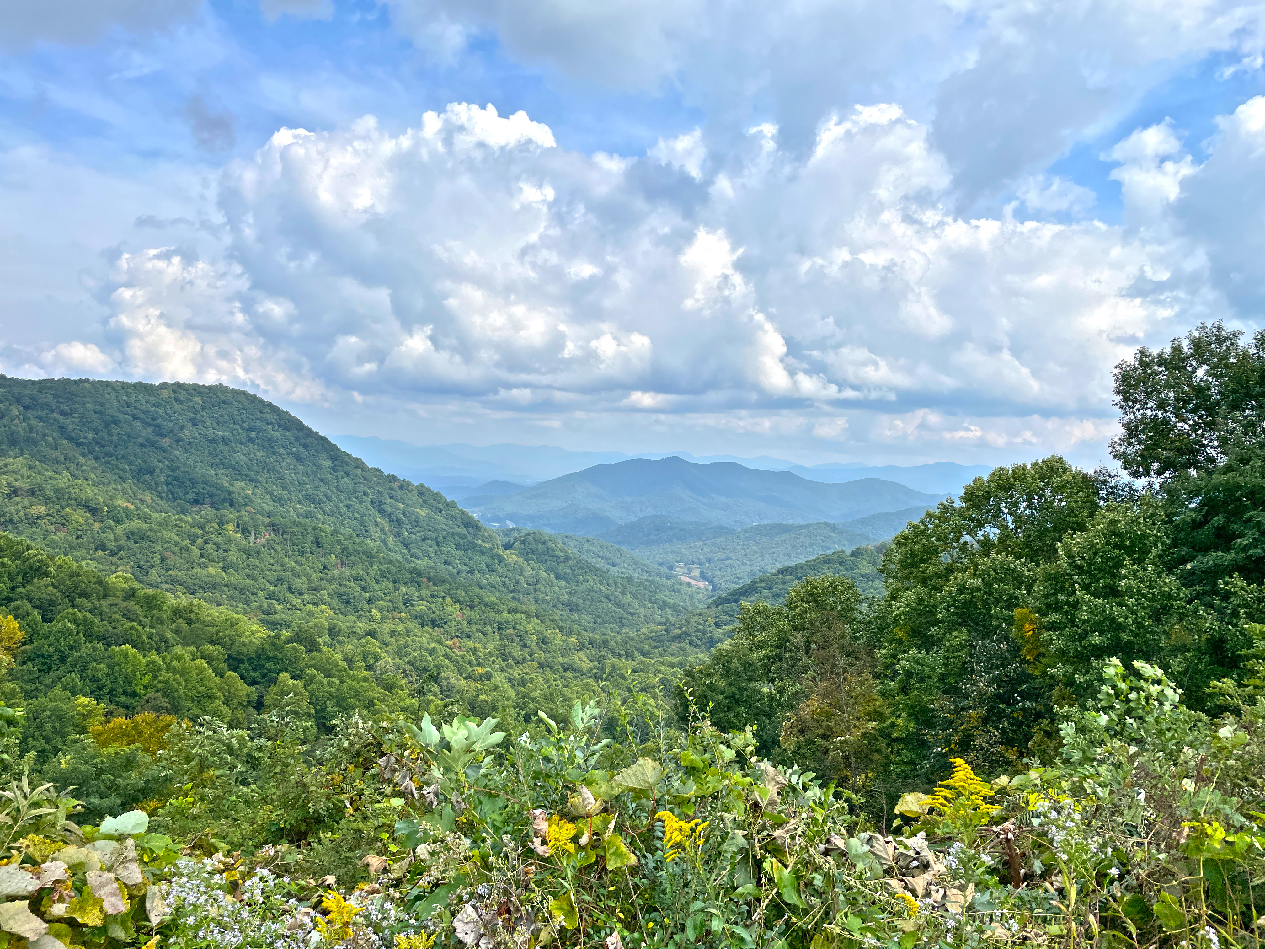 Conservation Groups Prepare for Lawsuit over Nantahala-Pisgah Forest ...