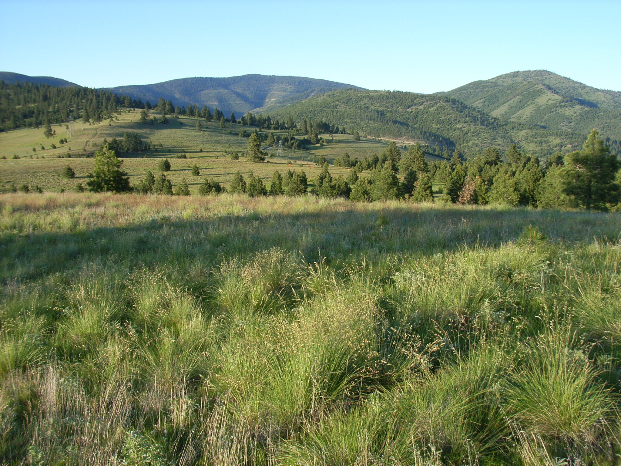 The Brilliance of the Plains Lies in the Animals and Their Homes ...